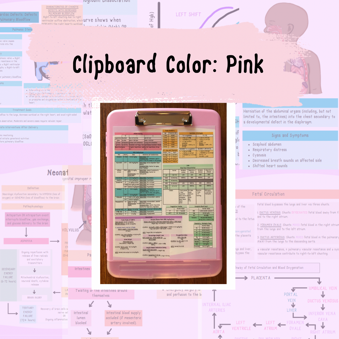 Neonatal ICU Storage Clipboard | Resources for NICU Nurses and Nursing ...