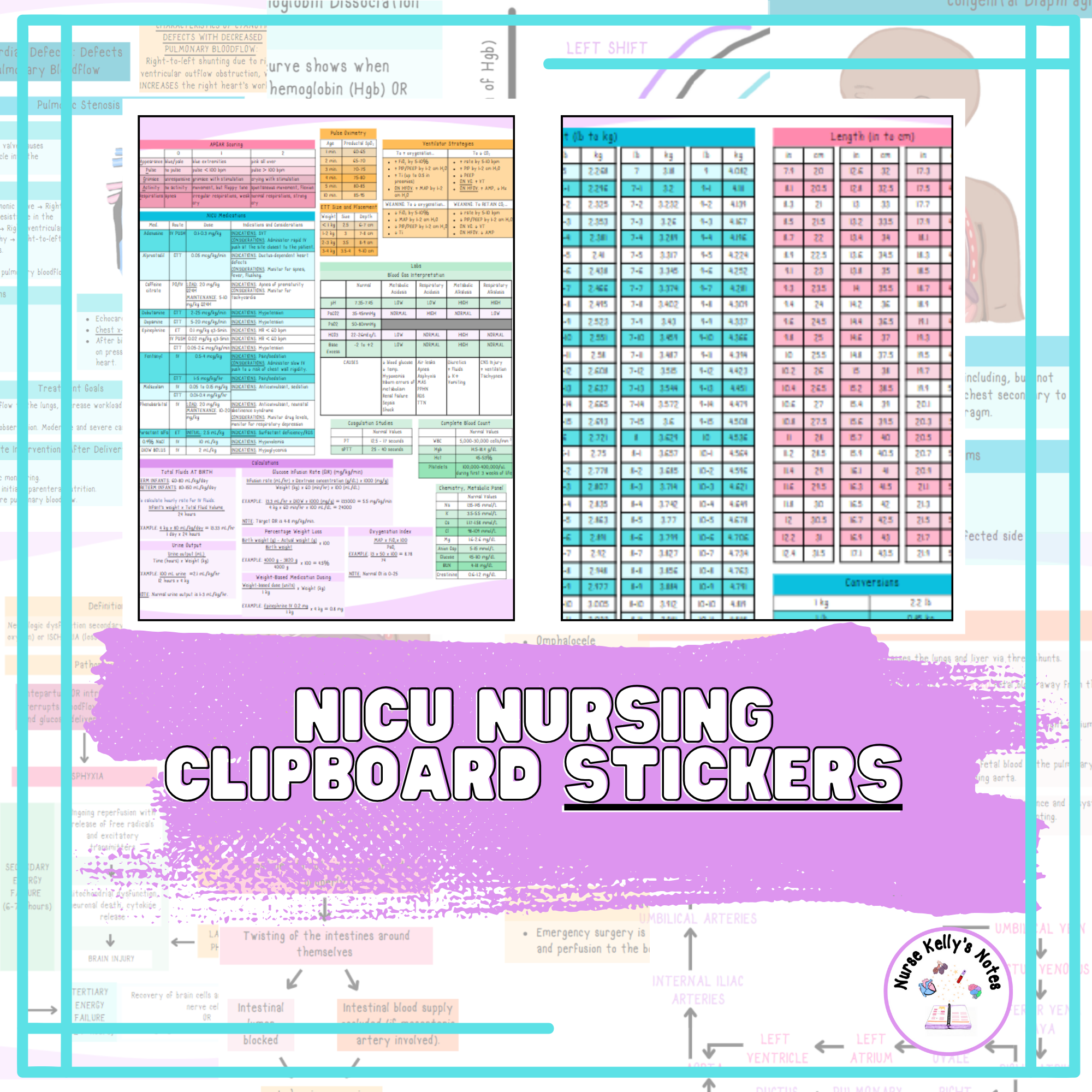 NICU Nursing Stickers for Clipboard | Perinatal and Neonatal Resources ...