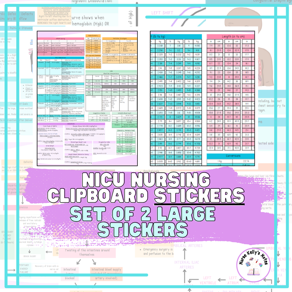 NICU Nursing Stickers for Clipboard (2 Large Stickers) | Neonatal Reso ...